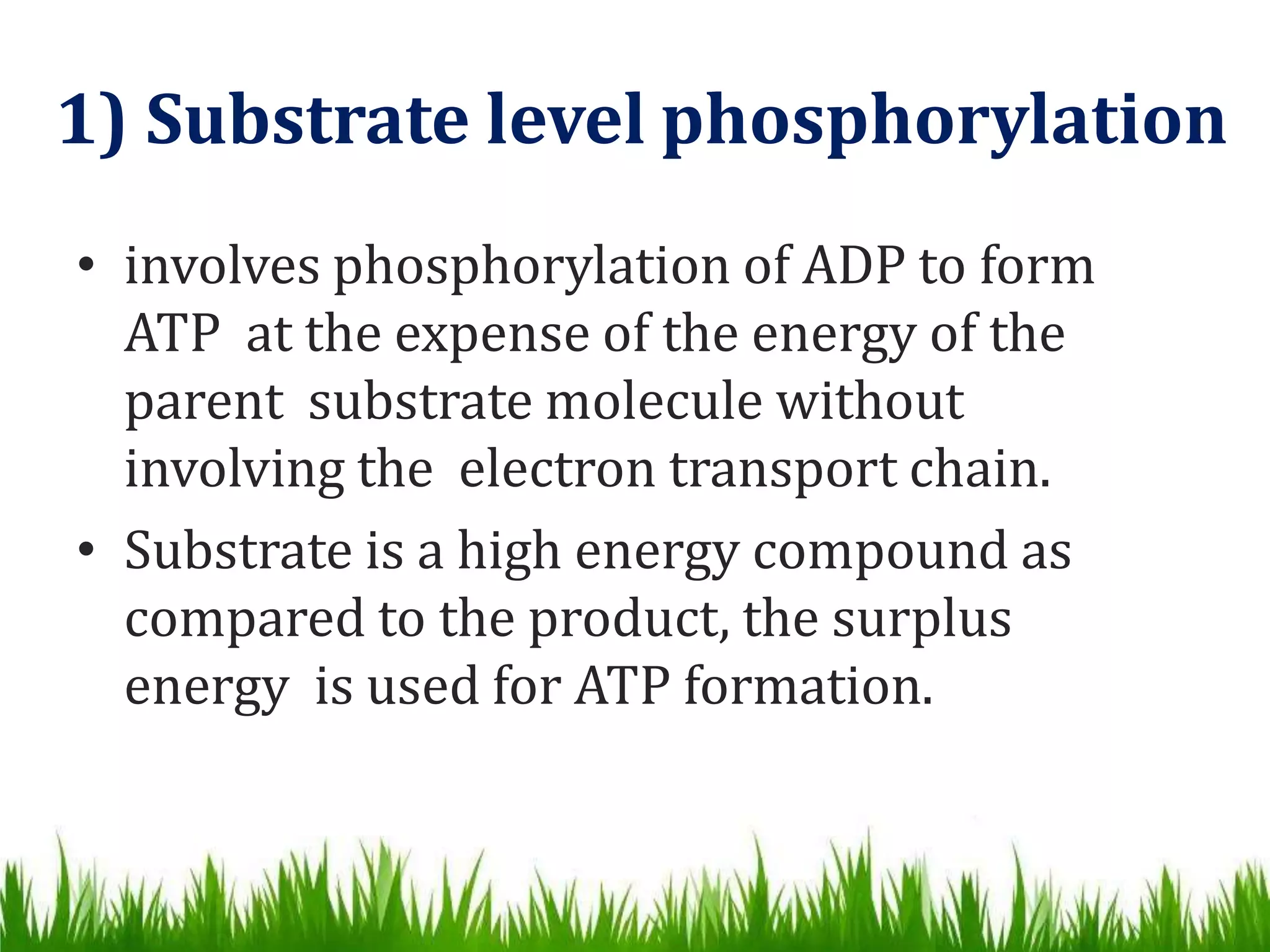 FORMATION & ROLE OF ATP, CREATINE PHOSPAHTE | PPTX