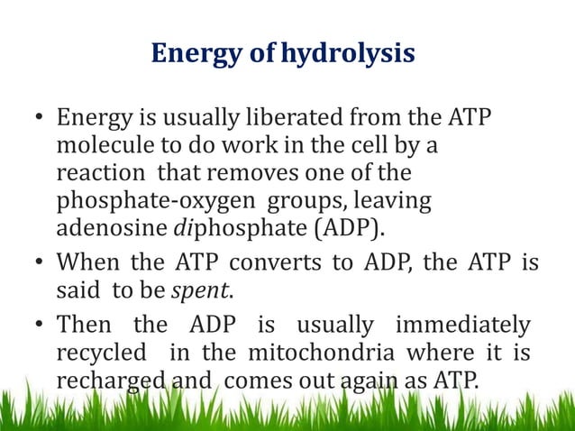 FORMATION & ROLE OF ATP, CREATINE PHOSPAHTE | PPTX | Chemistry | Science