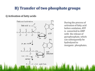 FORMATION & ROLE OF ATP, CREATINE PHOSPAHTE | PPTX