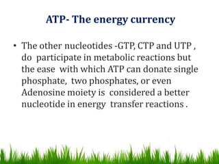 FORMATION & ROLE OF ATP, CREATINE PHOSPAHTE | PPTX