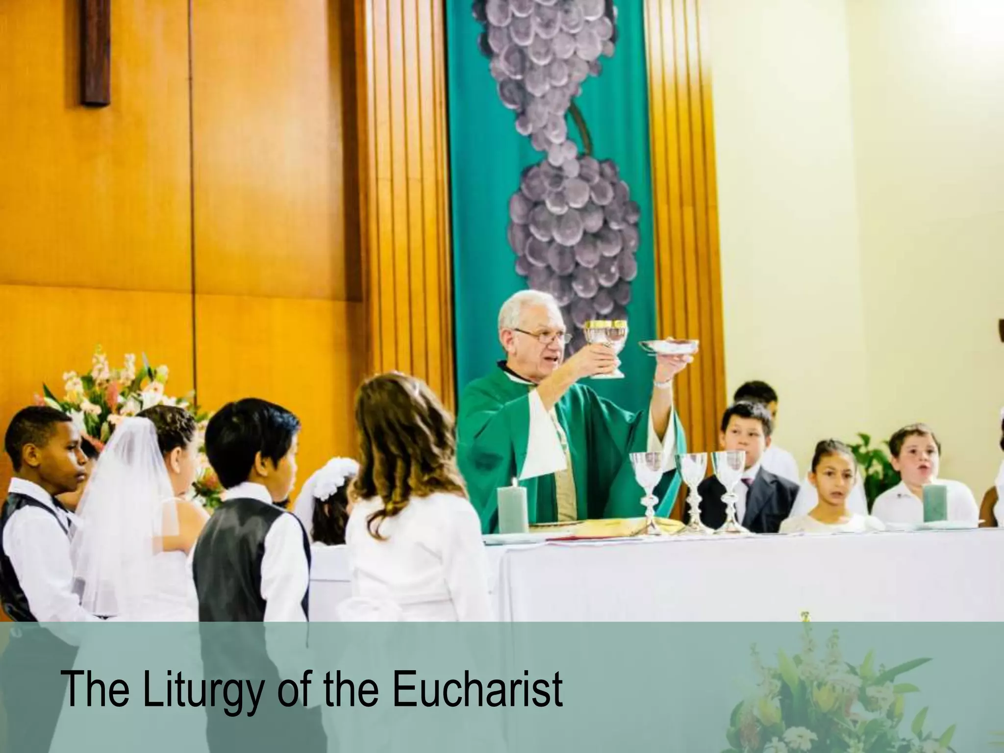 Extraordinary Ministers of Holy Communion Formation: Communion at Mass ...