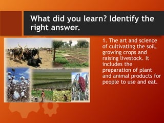 Formative assessment orchard farming and you | PPTX