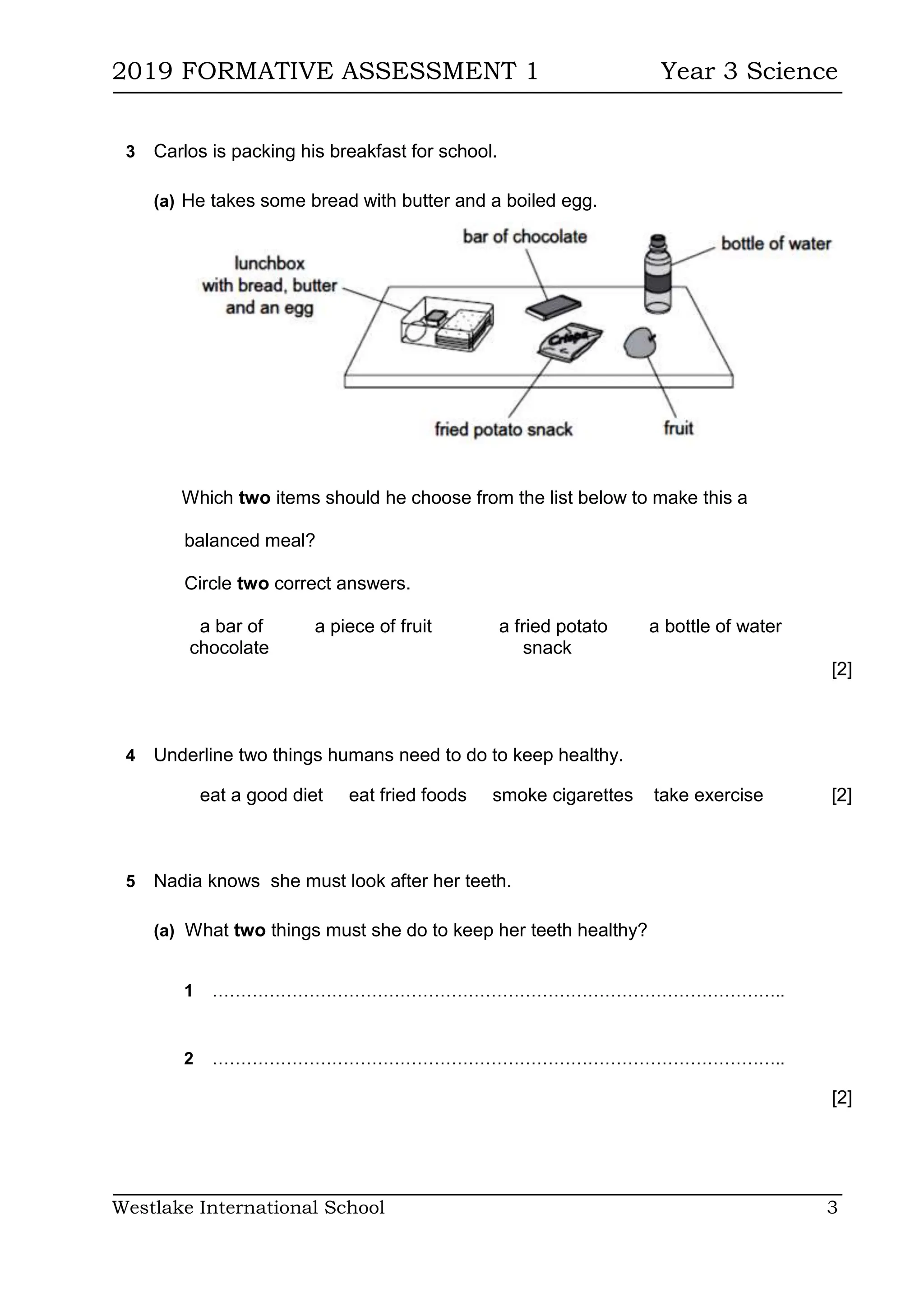 Formative Assessment 1_Y3_Science.docx
