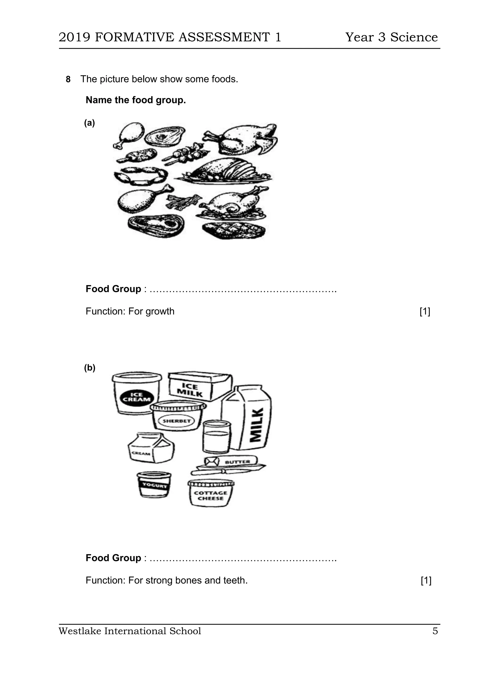 Formative Assessment 1_Y3_Science.docx
