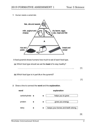 Formative Assessment 1_Y3_Science.docx