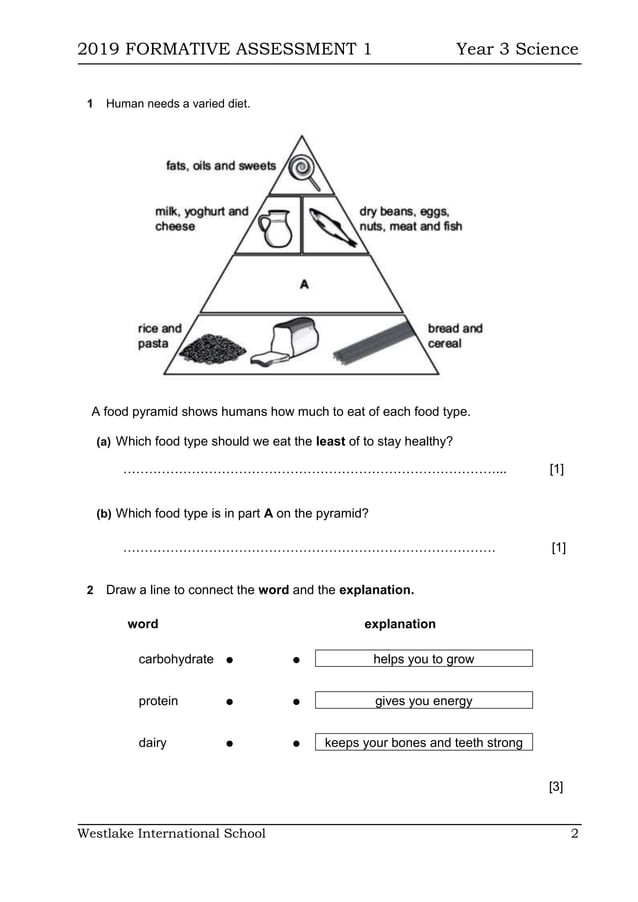 Formative Assessment 1_Y3_Science.docx