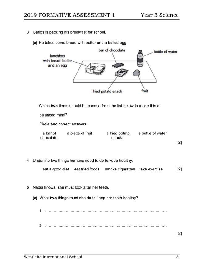 Formative Assessment 1_Y3_Science.docx