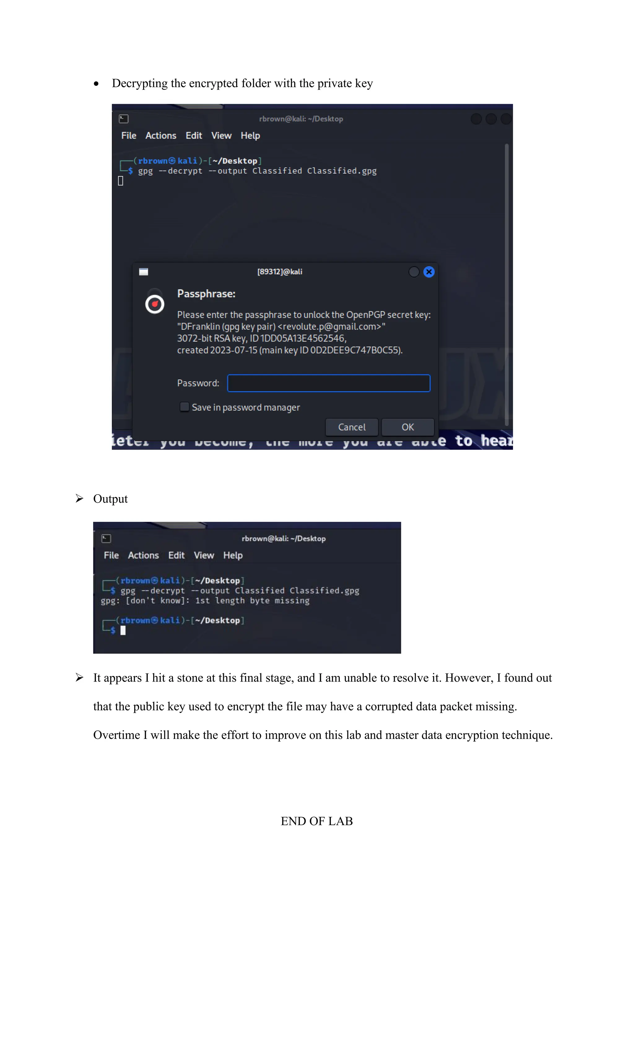 Classical Cryptography and Digital Encryption | PDF