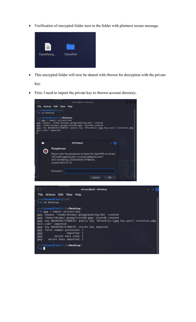 Classical Cryptography and Digital Encryption | PDF