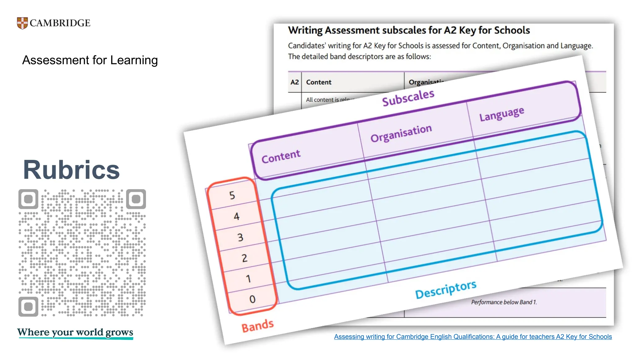 Formative assessment resources in language.pptx