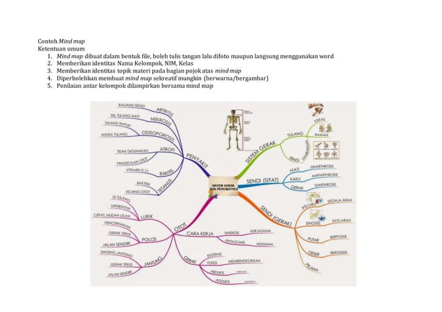 FORMAT MIND MAP.docx