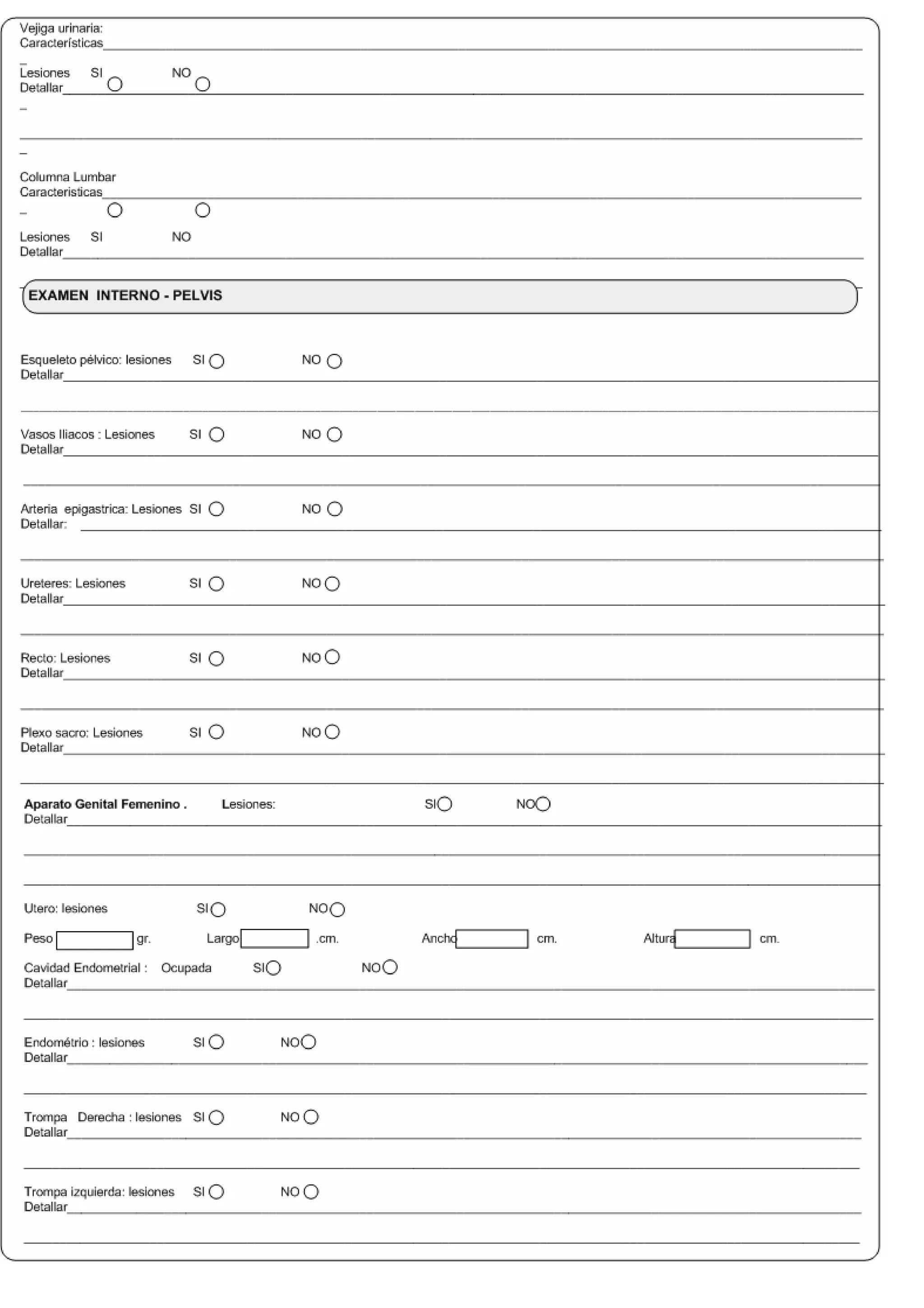 FORMATO.pdf maritza campos diaz de arequipa =) | PDF