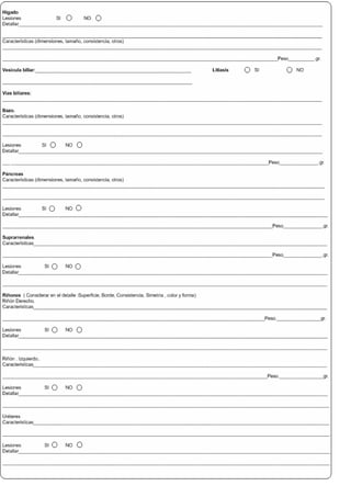 FORMATO.pdf maritza campos diaz de arequipa =) | PDF