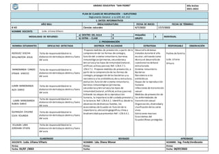 formato-plan-de-supletorio(1).docx