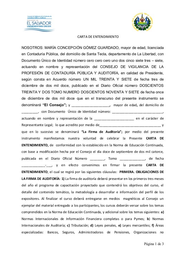 Formato carta de_entendimiento