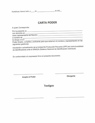 FORMATO CARTA PODER.pdf