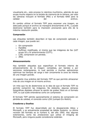 Formato de archivos tiff | PDF