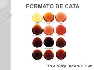 Formato de cata | PPTX