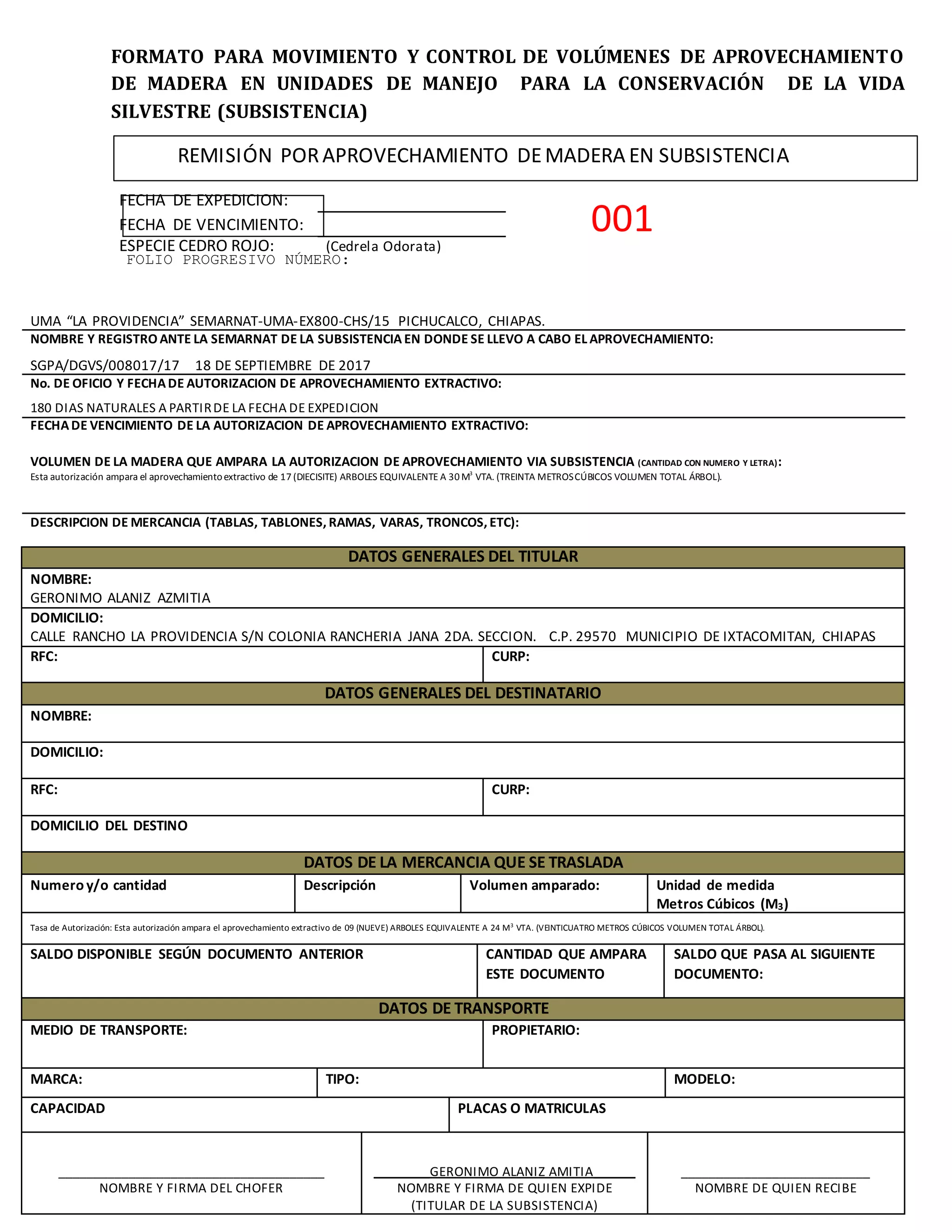 Formato de madera hecho de subsistencia | DOCX