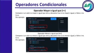 FORMATO DIAPOSITIVAS - dart y flutter.pptx