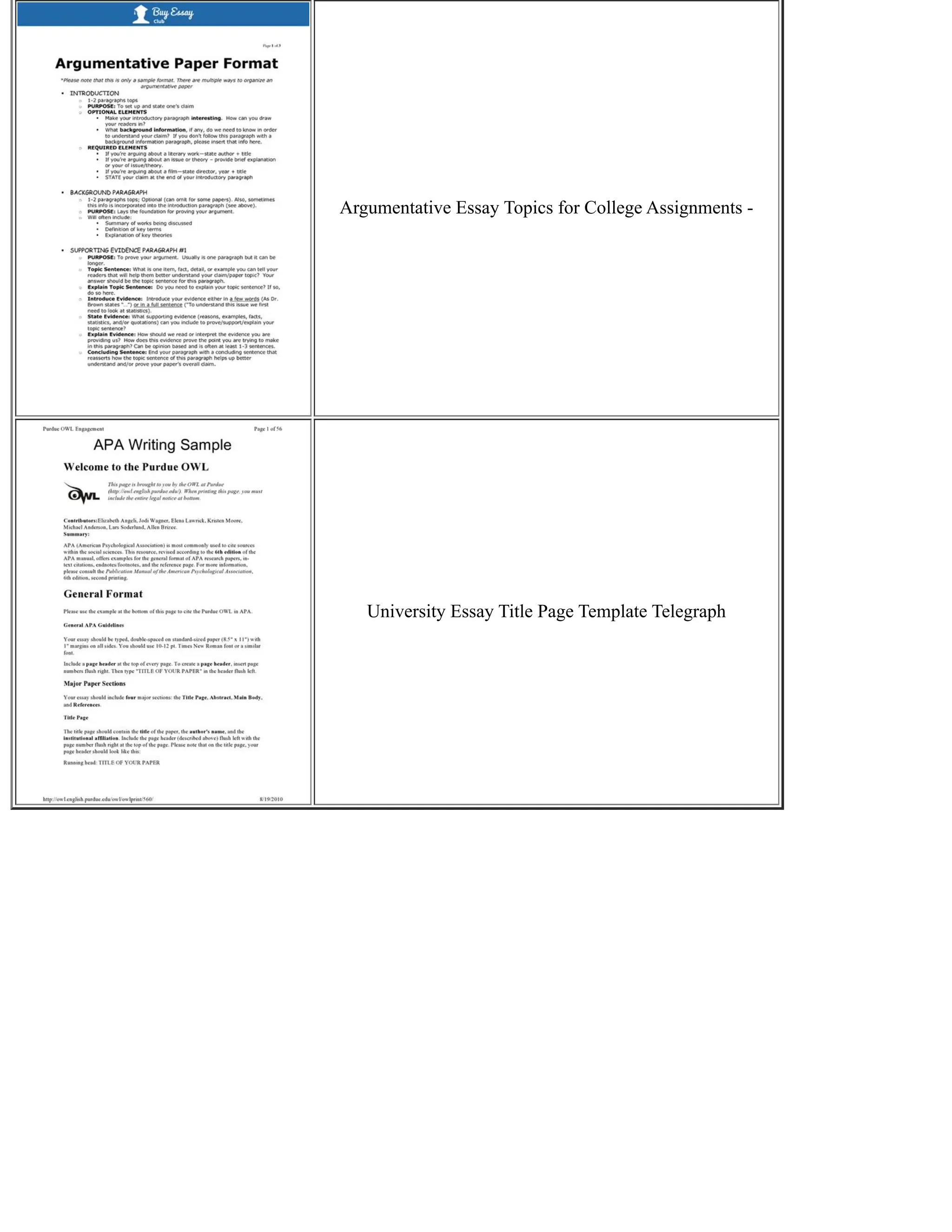 Format Of An Essay Writing | PDF