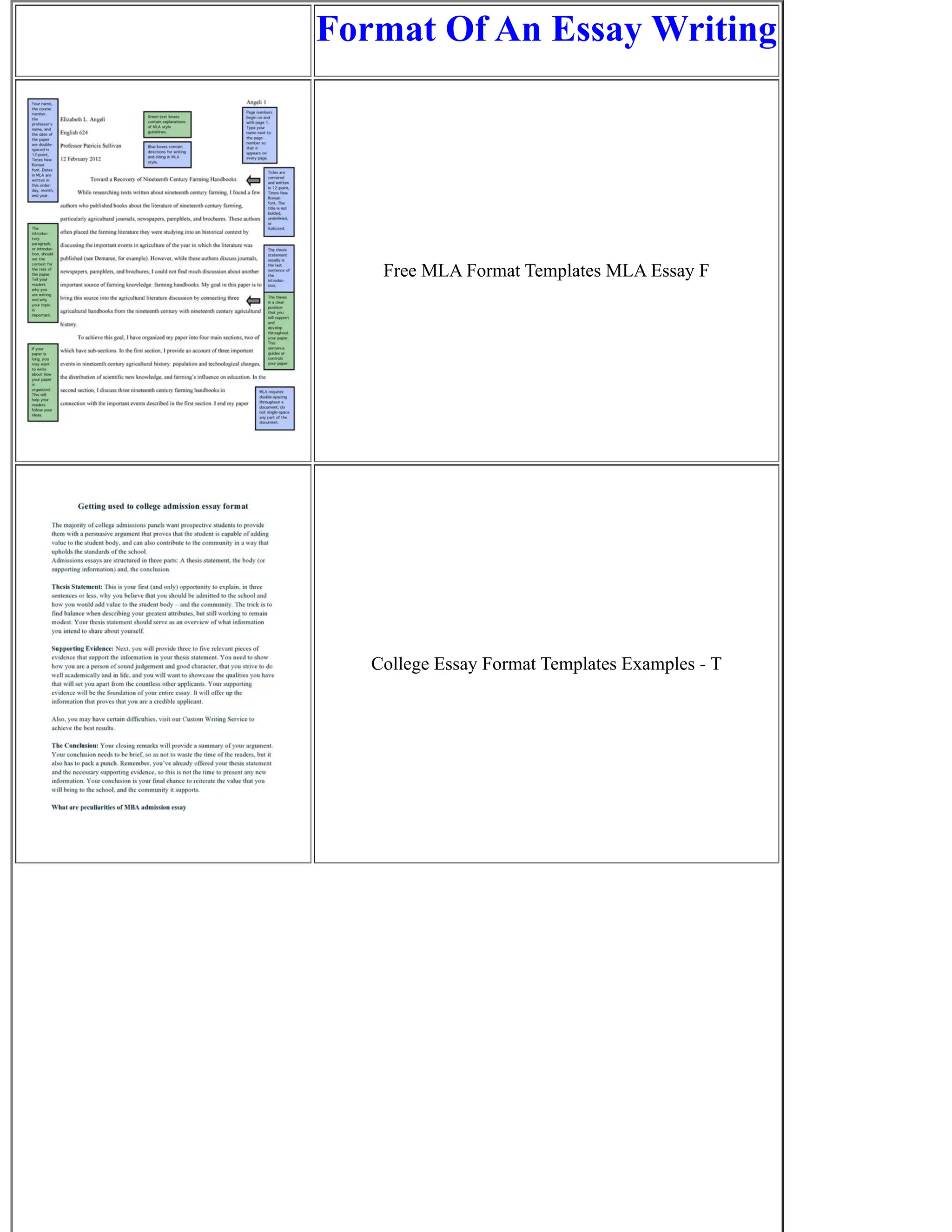 Format Of An Essay Writing | PDF