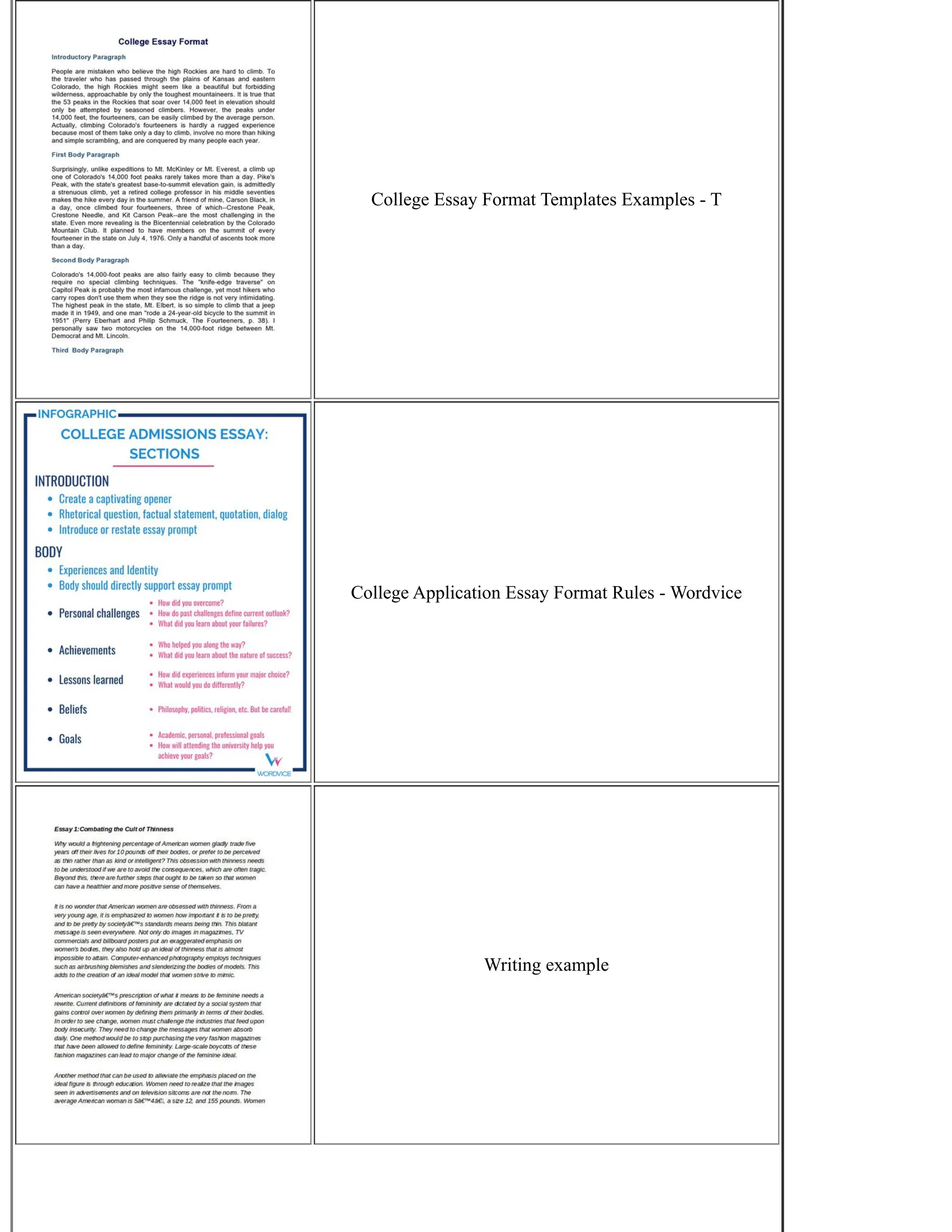 Format Of An Essay Writing | PDF