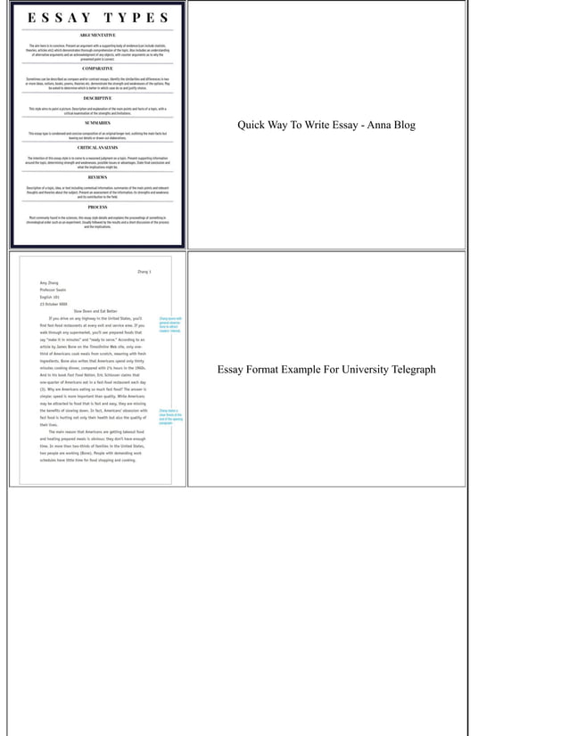 Format Of An Essay Writing | PDF