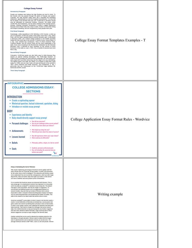 Format Of An Essay Writing | PDF