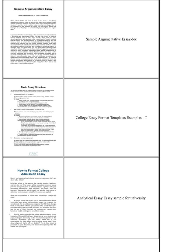 Format Of An Essay Writing | PDF