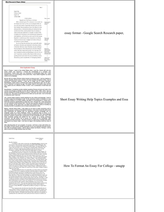 Format Of An Essay Writing | PDF