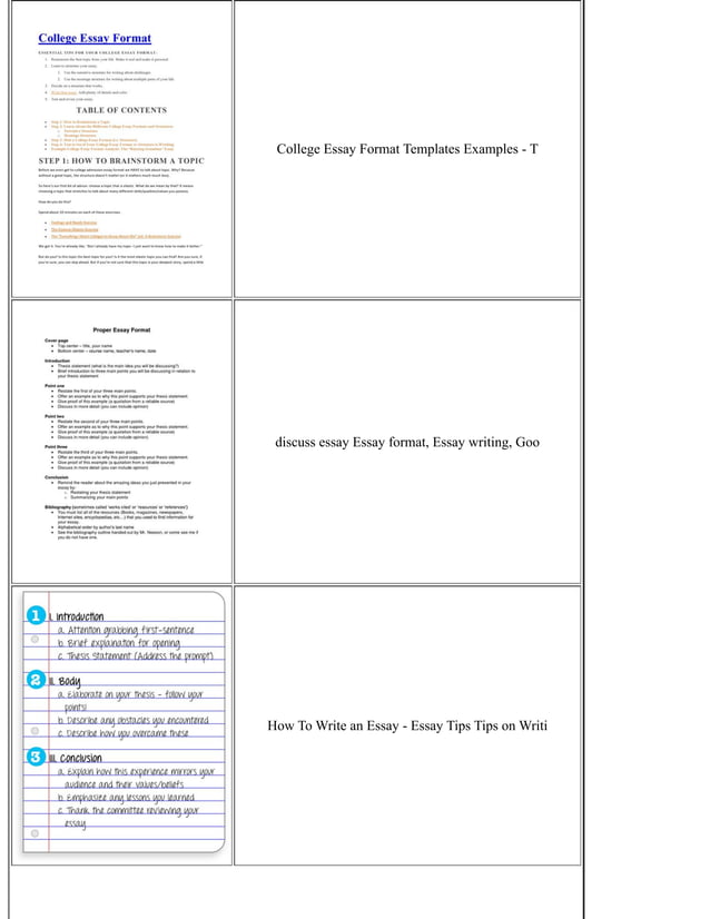 Format Of An Essay Writing | PDF