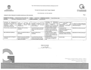 Formato individual. | PDF