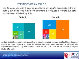 Formatos Normalizados | PDF