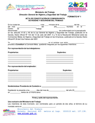 Formatos para-constituir-y-reestructurar-la-cmhst | DOC