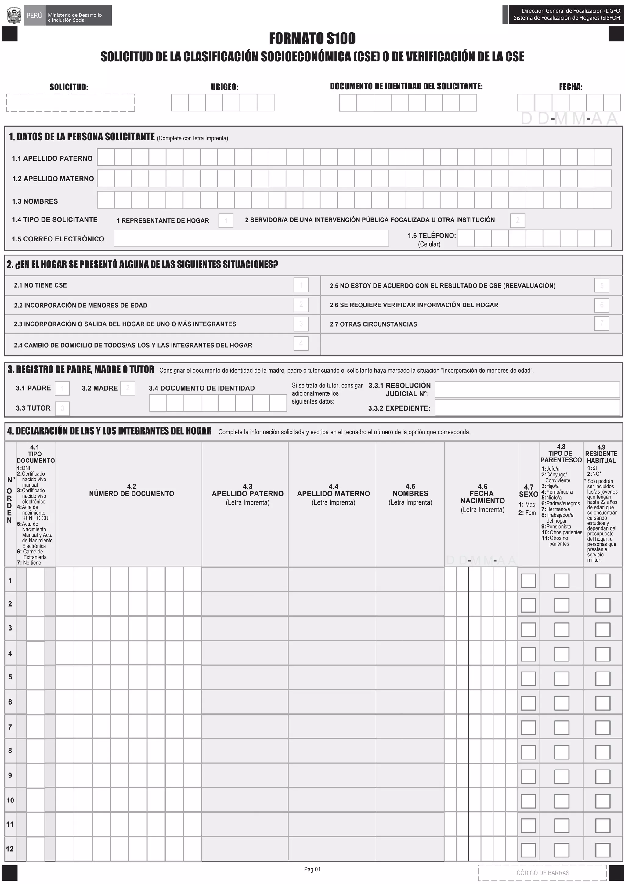 Formato S100.pdf