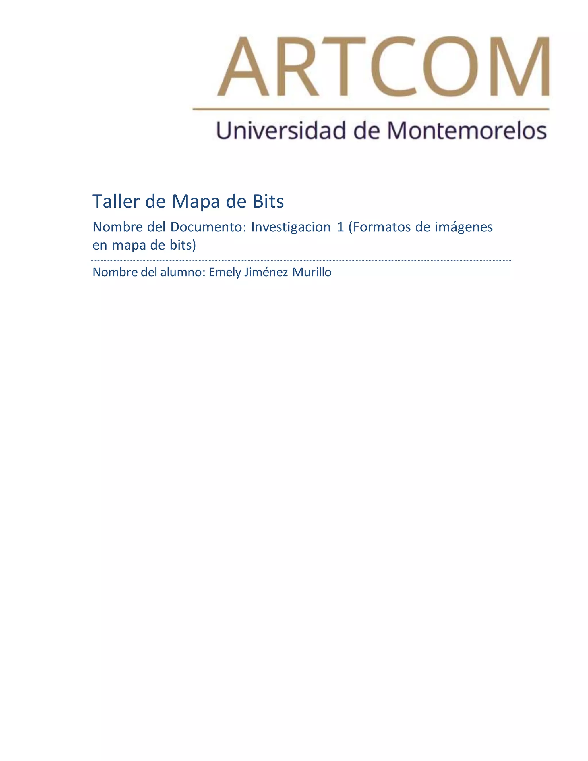 Formatos de mapas de bits | DOCX