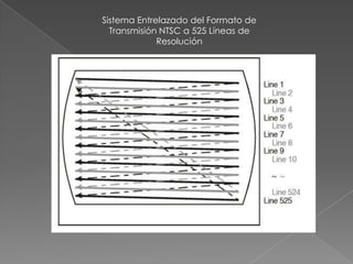 Formatos de televisión | PPTX