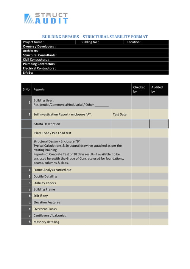 Formats for struct audit report | PDF