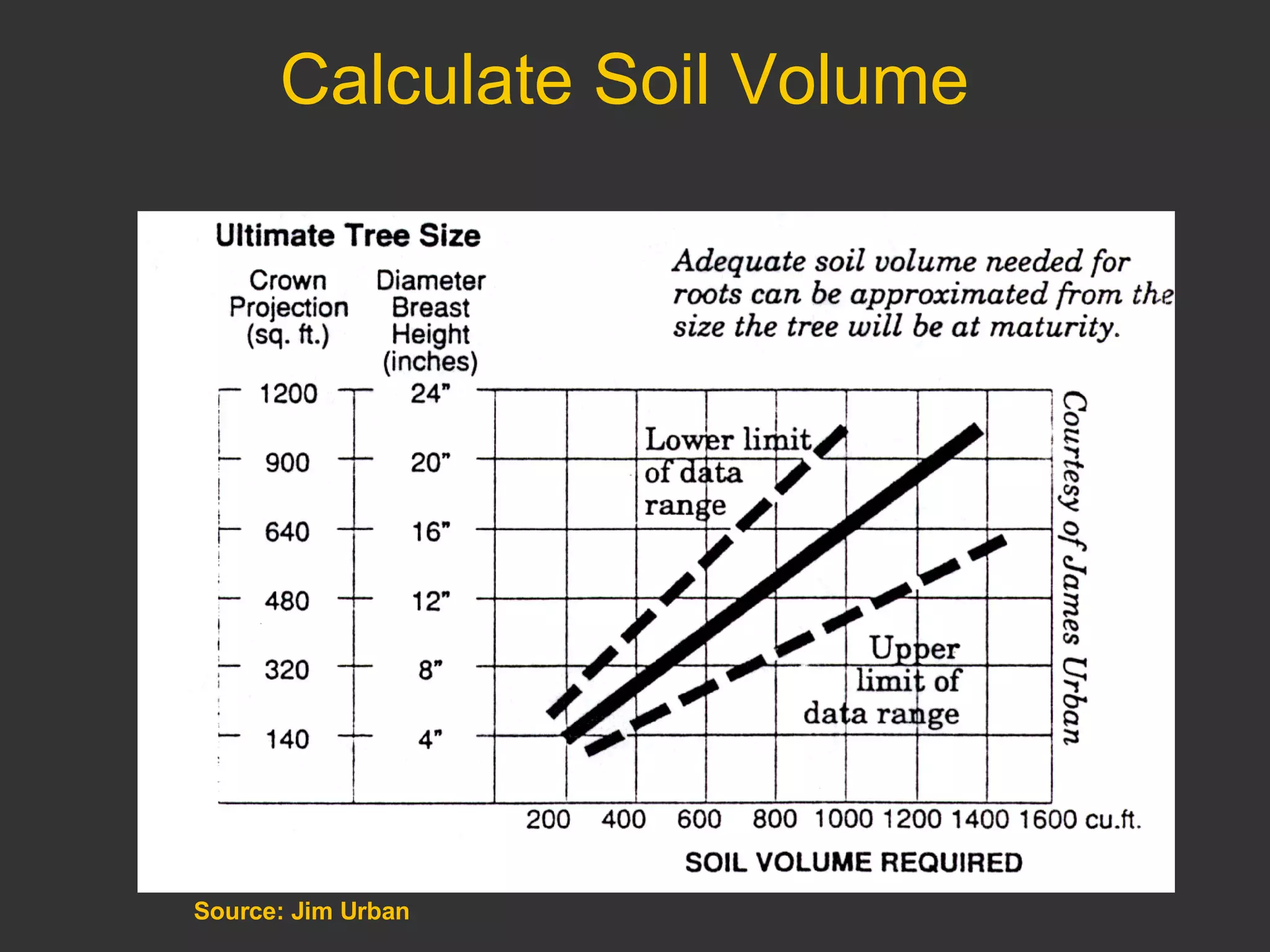 Planting Trees in Urban Areas | PPT