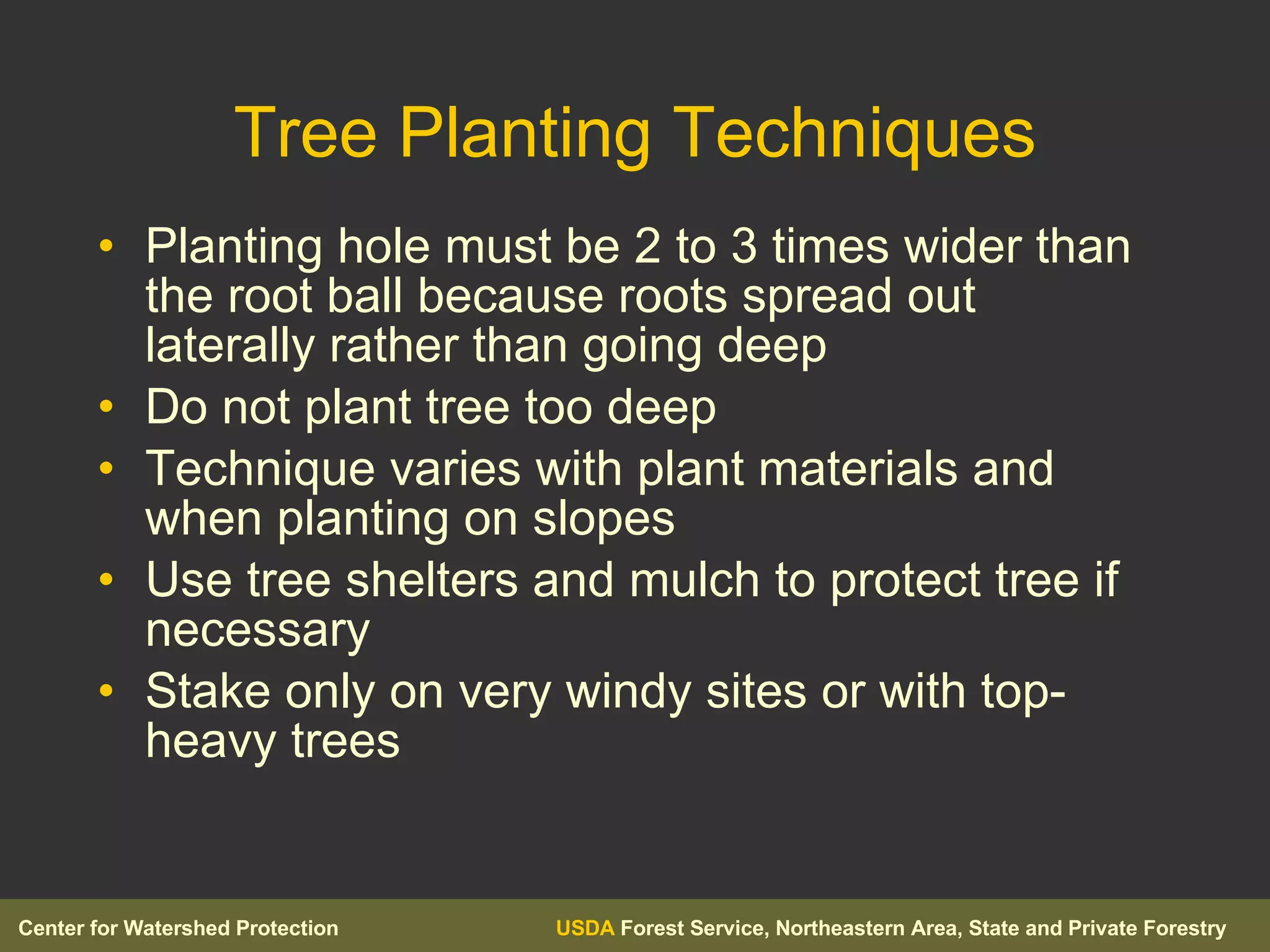 Planting Trees in Urban Areas | PPT