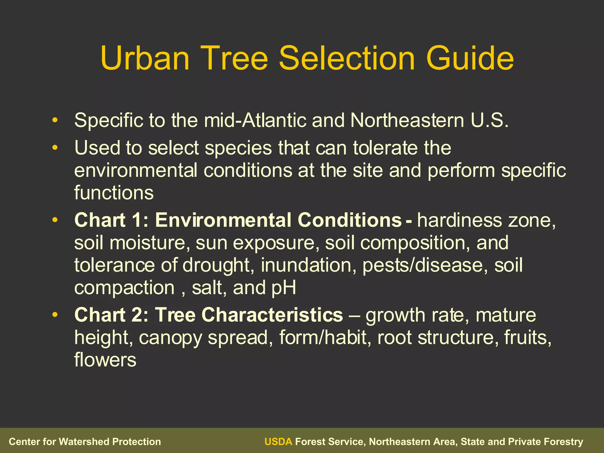 Planting Trees in Urban Areas | PPT