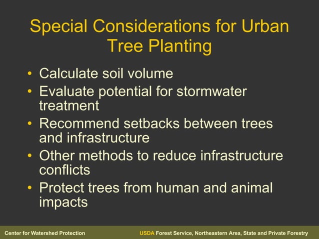 Planting Trees in Urban Areas | PPT | Landscaping | Home & Garden