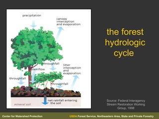 Urban Watershed Forestry Concepts | PPT