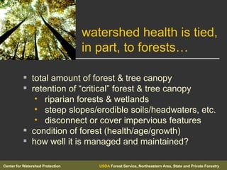 Urban Watershed Forestry Concepts | PPT