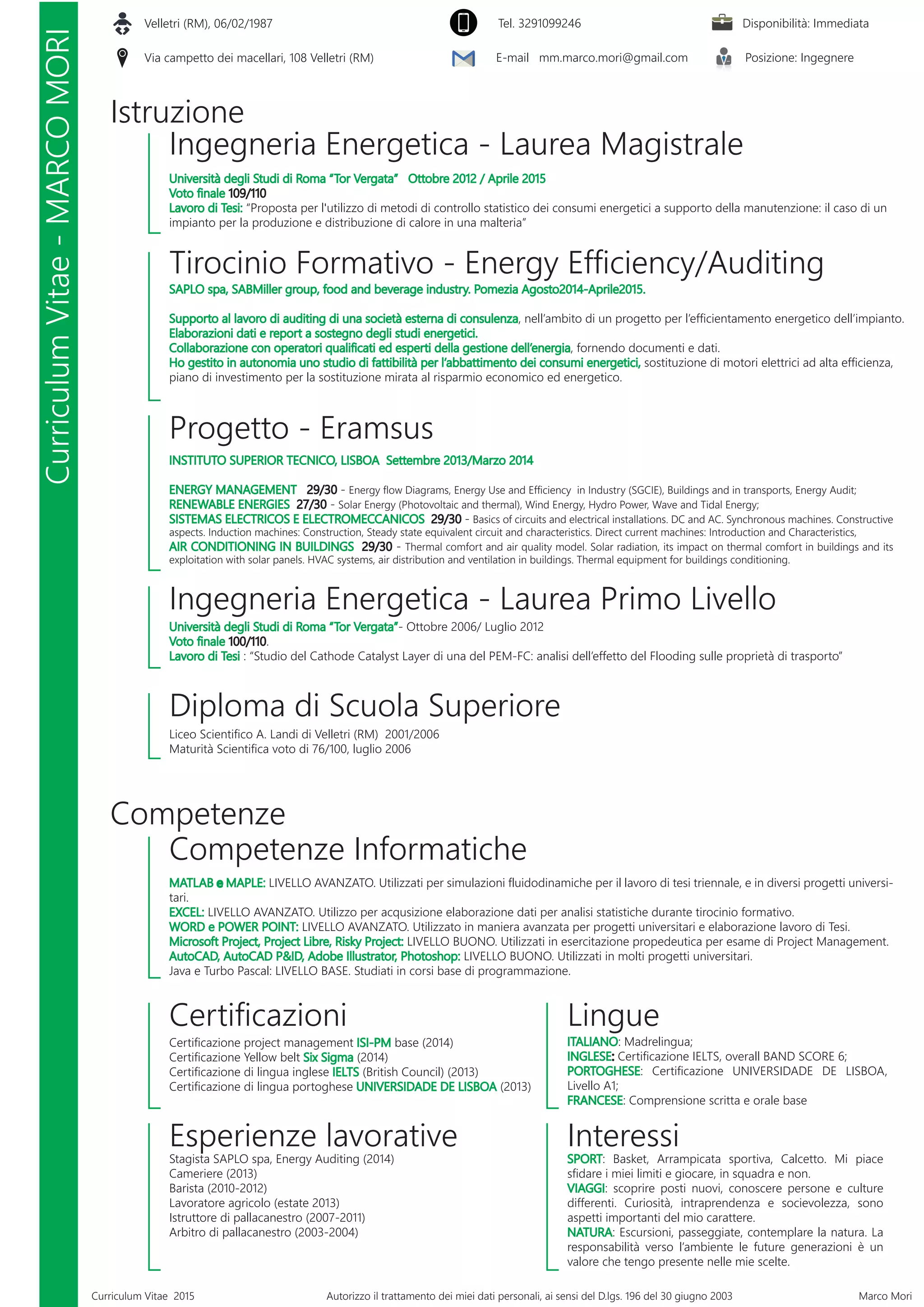 CV Marco Mori | PDF | Business | Business and Finance