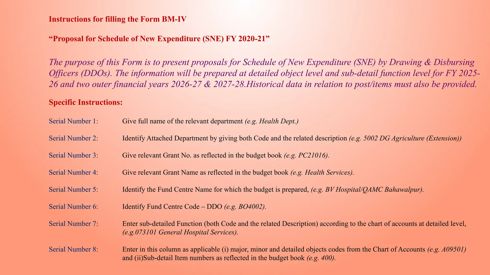 FORM BM - IV SNE Budget Finance Audit plt .pptx
