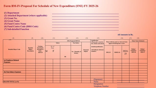 FORM BM - IV SNE Budget Finance Audit plt .pptx