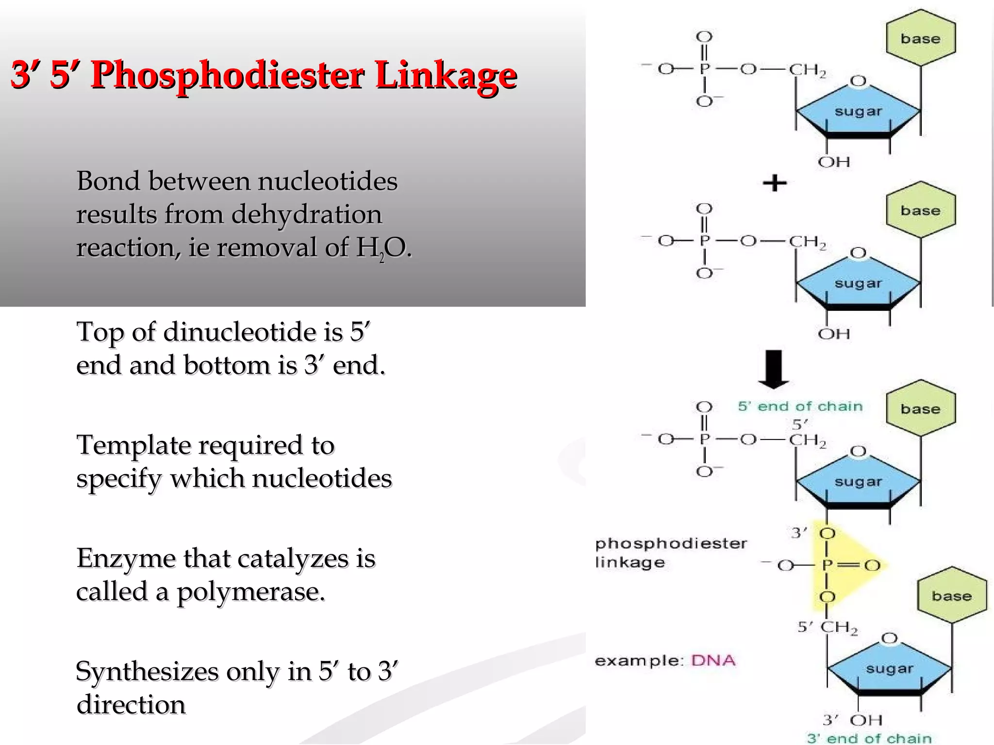 Former Chapter 3 | PPT