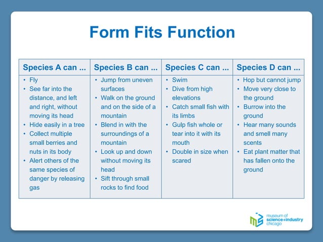 Form fits function | PPTX